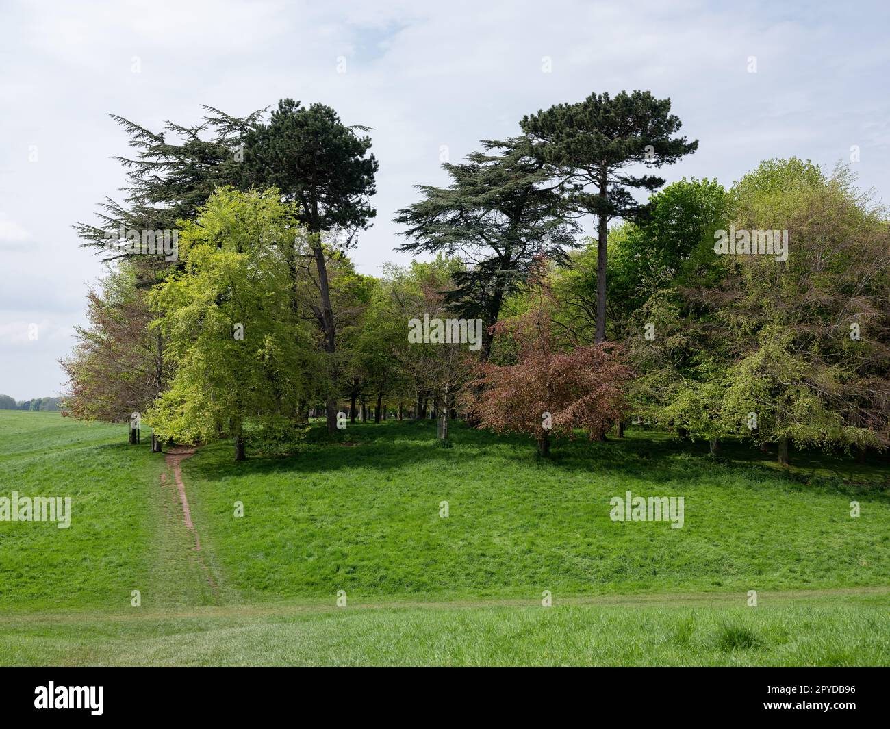 The Phoenix Park in Dublin city, Ireland Stock Photo - Alamy