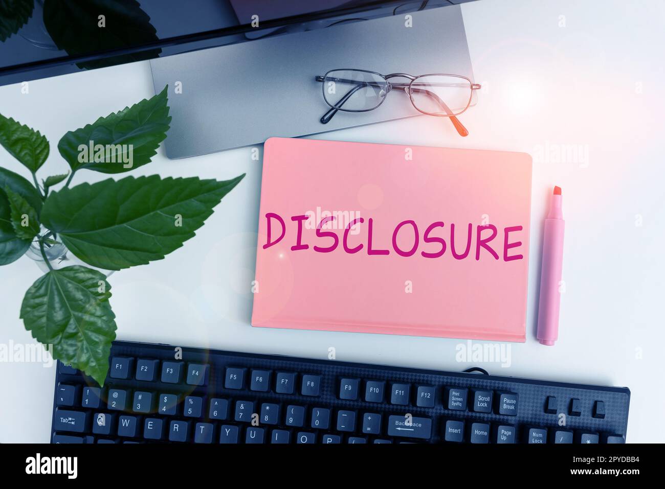 Hand writing sign Disclosure. Business showcase The action of making ...
