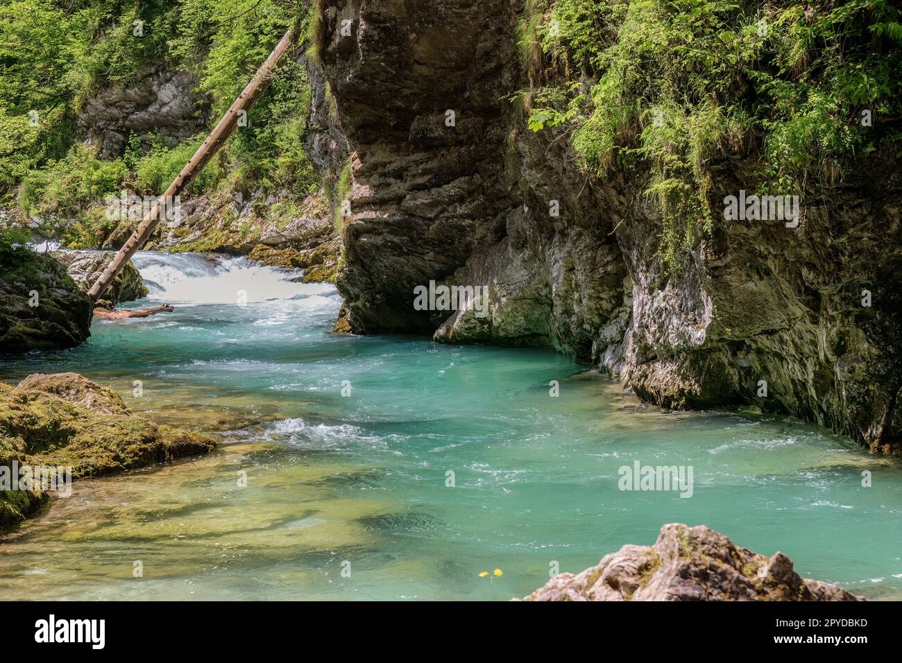Vintgar Gorges near Bled in Slovenia Stock Photo - Alamy