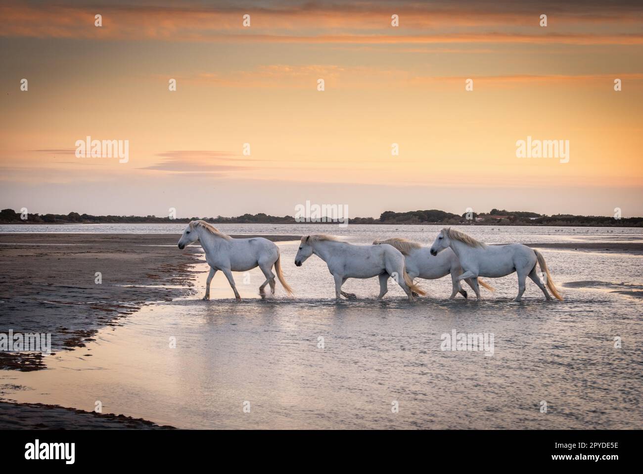 Delta white hi-res stock photography and images - Alamy