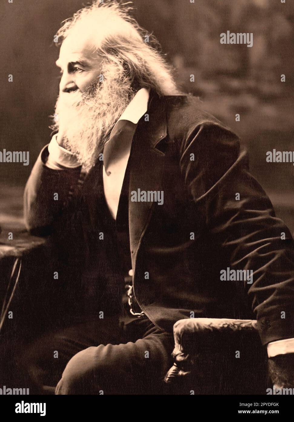 Walt Whitman poet in 1881 Stock Photo - Alamy