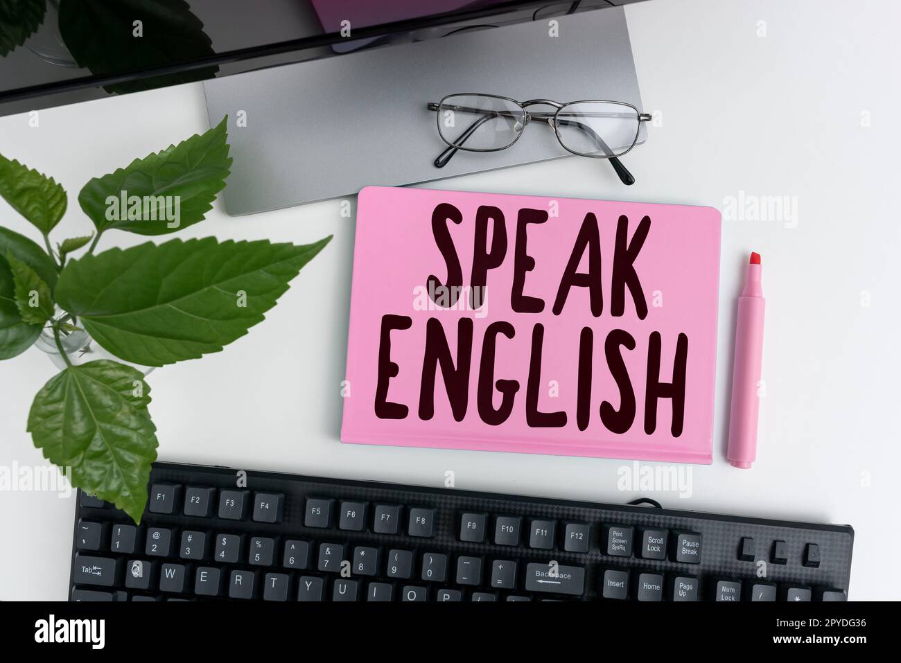 Conceptual caption Speak English. Business showcase Study another ... Conceptual caption Speak English. Business showcase Study another ...