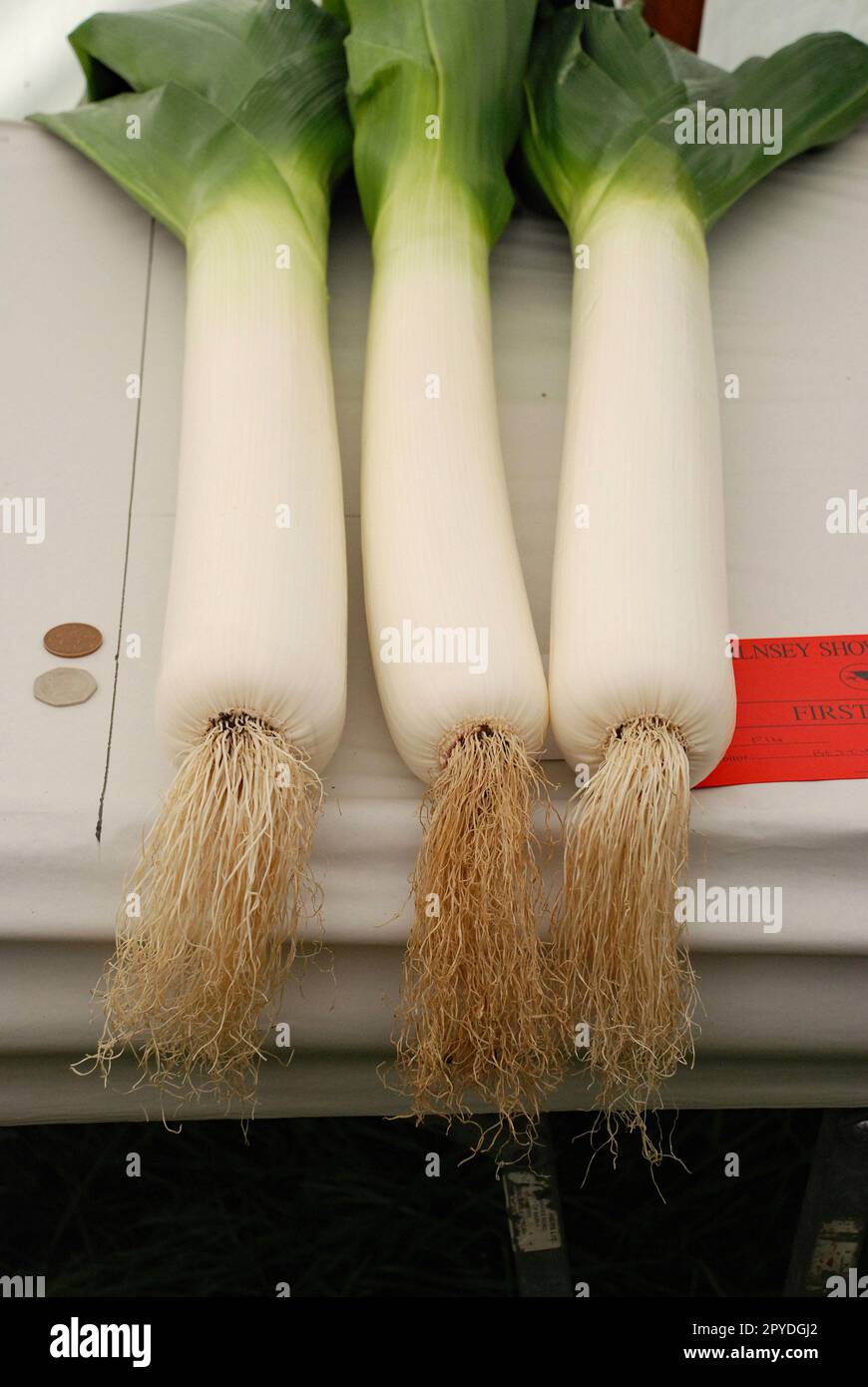 First Prize for leeks at the Horticultural marquee Kilnsey Show 2015 ...
