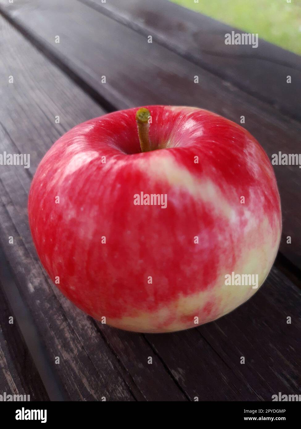 Beautiful bench design hi-res stock photography and images - Alamy