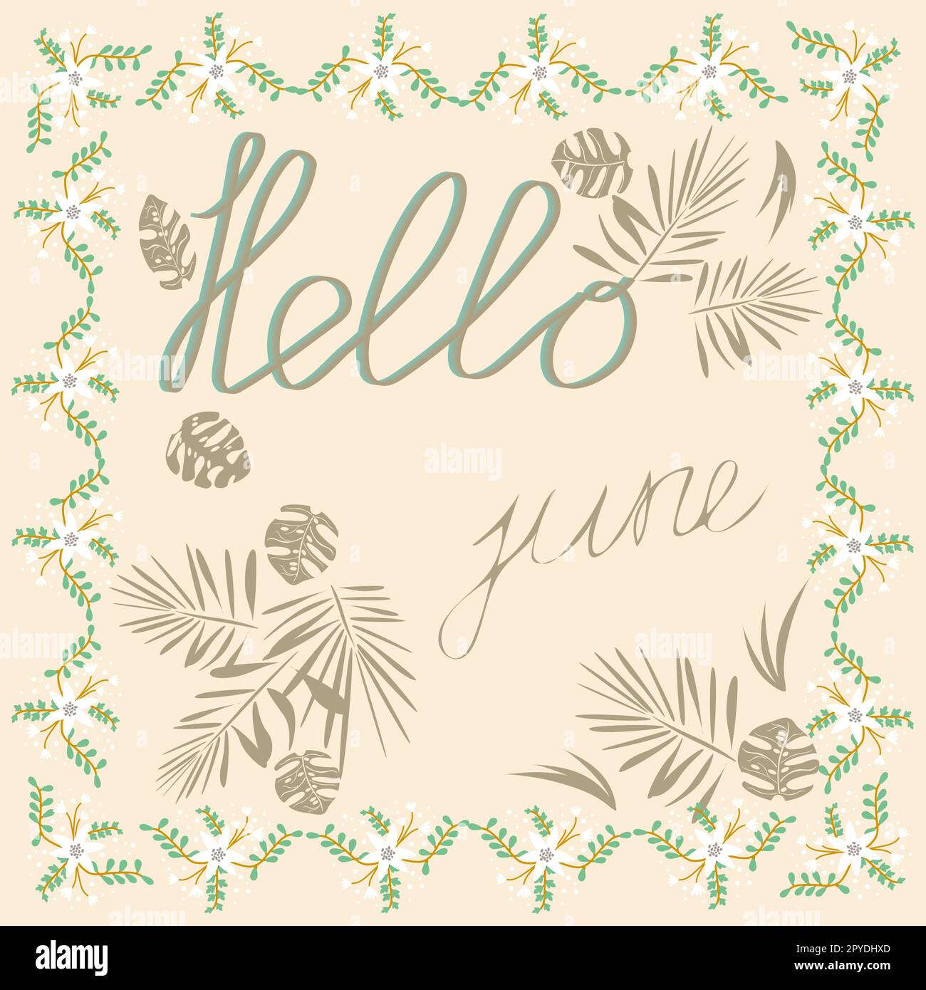 hello june banner square frame of white flowers on a light background ...