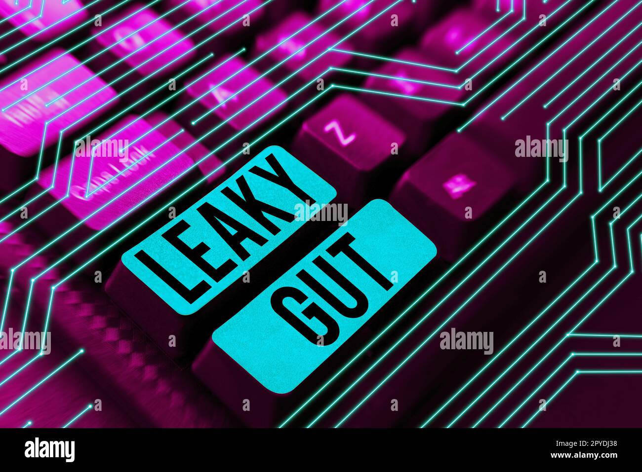 Text caption presenting Leaky Gut. Conceptual photo A condition in ...