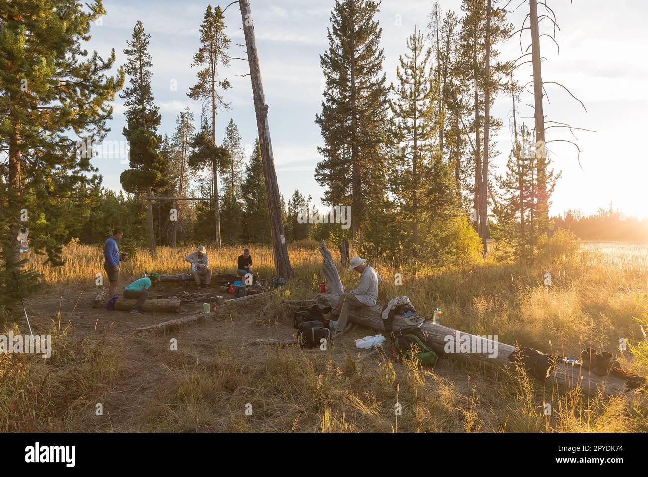 camping in yellowstone Stock Photo - Alamy
