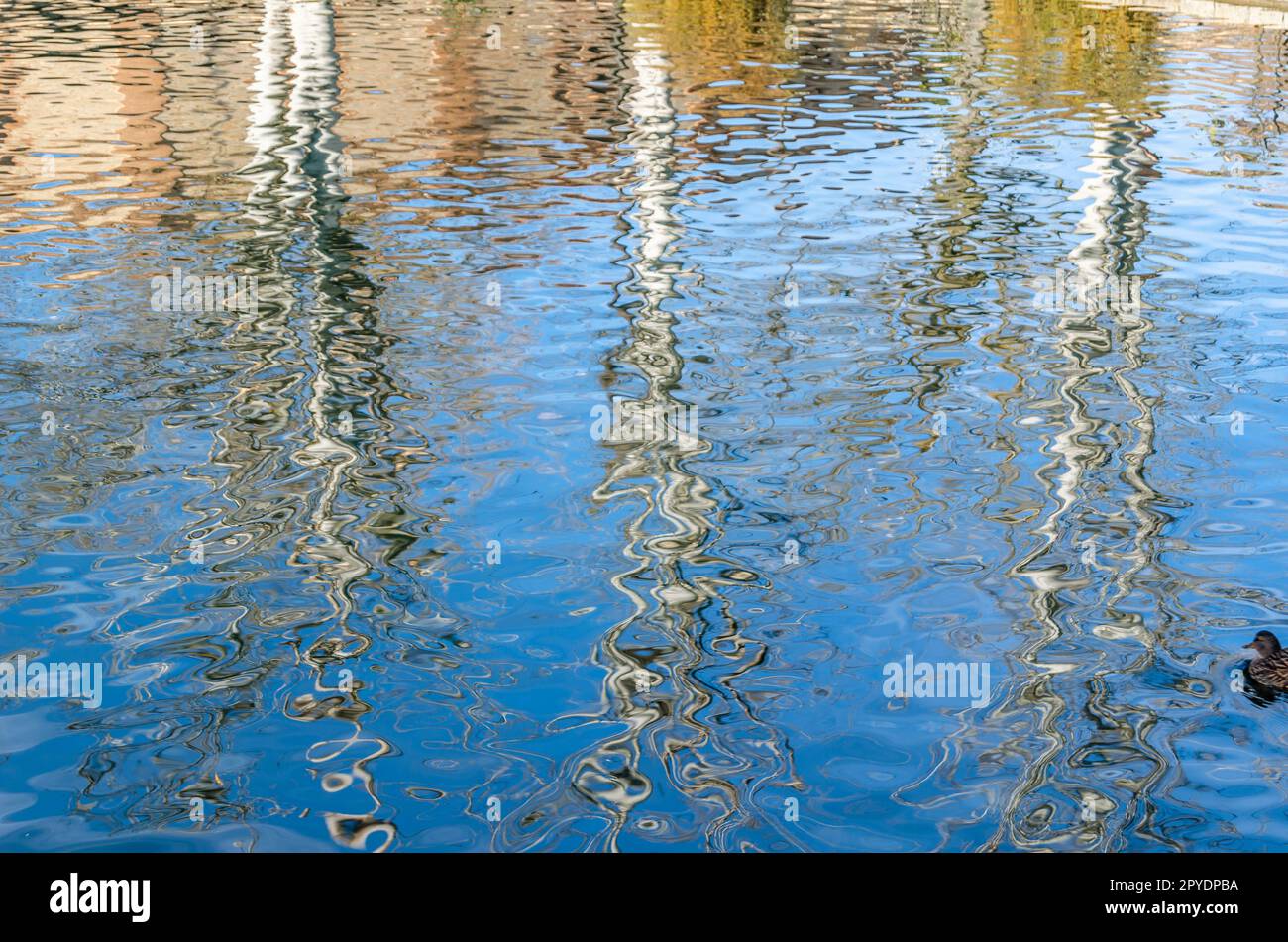 Reflection and trees hi-res stock photography and images - Alamy