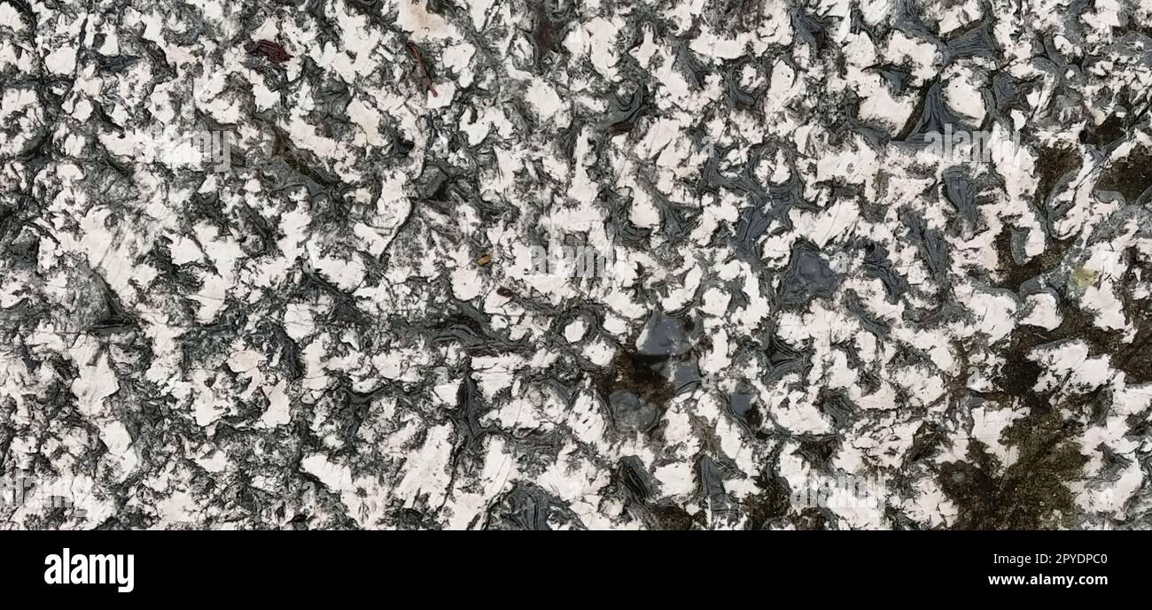 marble surface. Sarajevo, Bosnia and Herzegovina, historic center ...