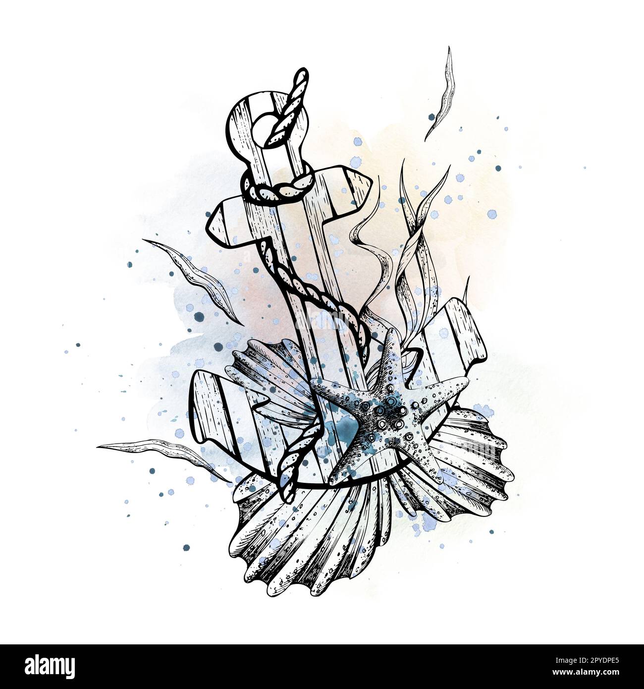 Sea anchor with shells and algae, graphics against the background of ...