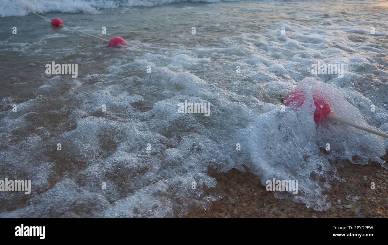 Buoys on a rope near sea water. The buoys are pink restraints to alert ...