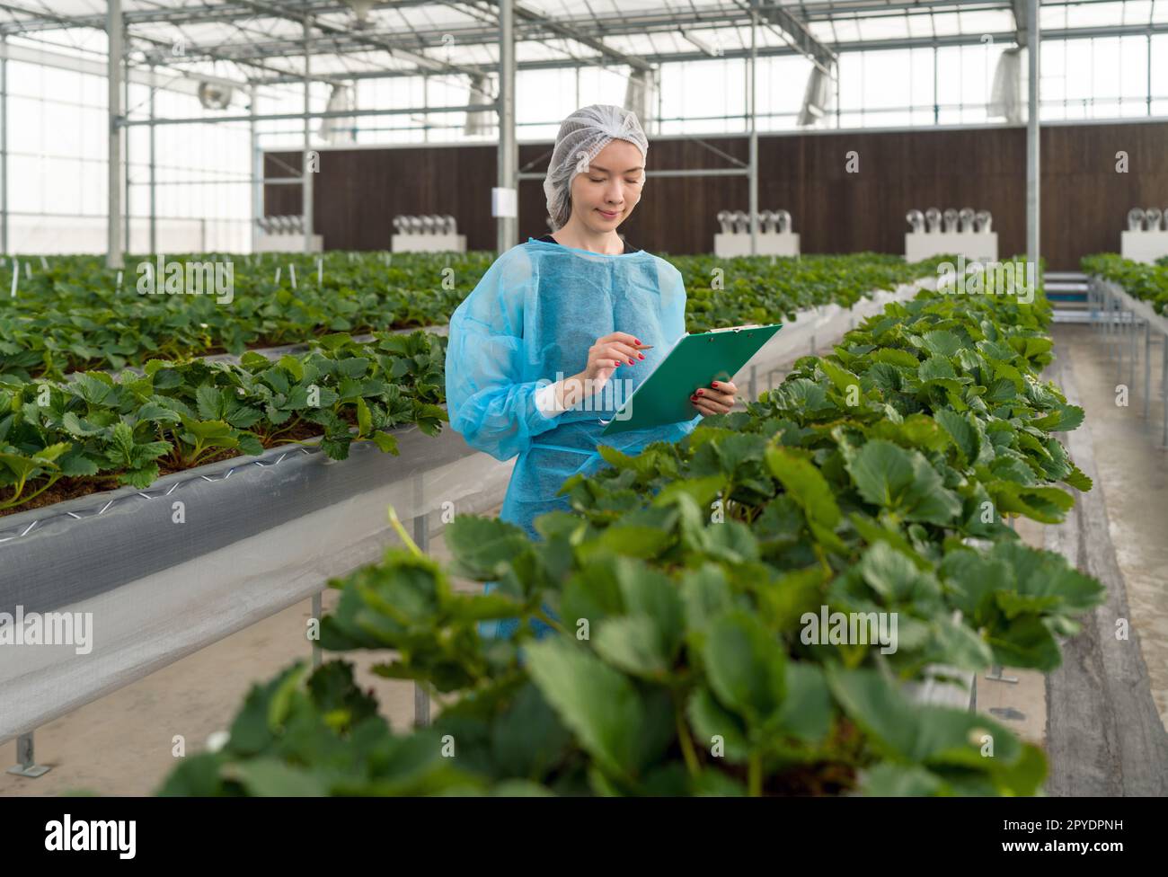 Caucasian female fruit researcher in isolation gown and disposable ...