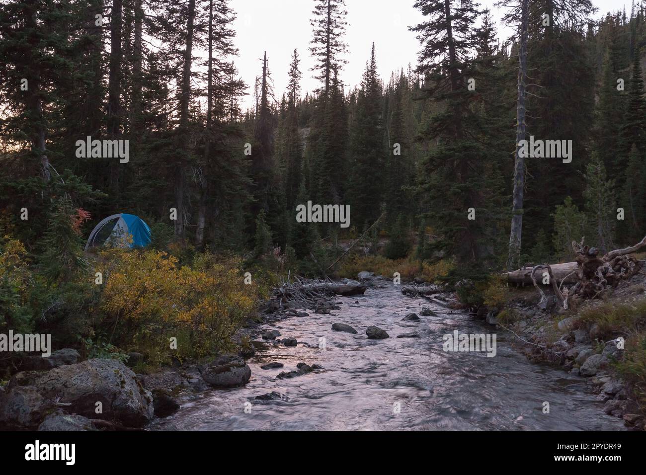yellowstone riverside camping Stock Photo - Alamy