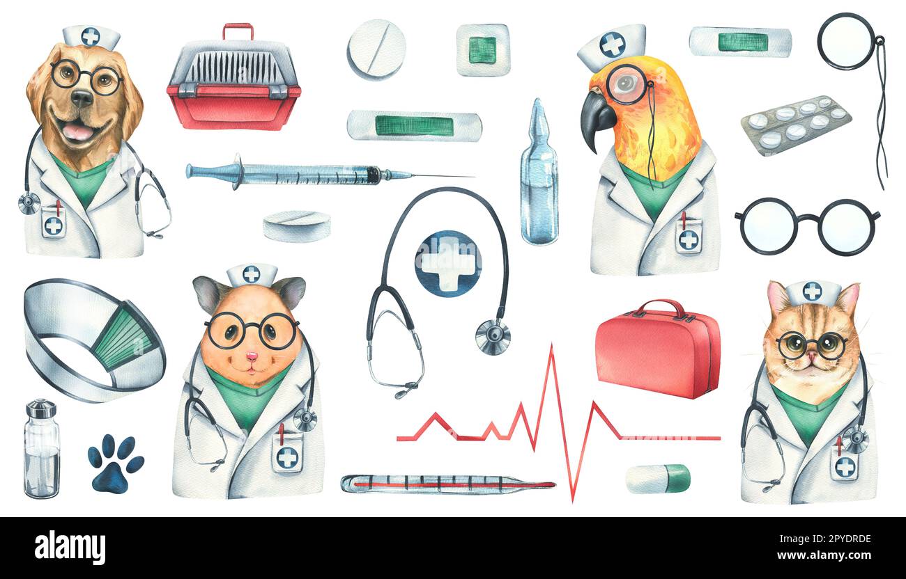Medical set with animal doctors cat, dog, parrot and hamster ...