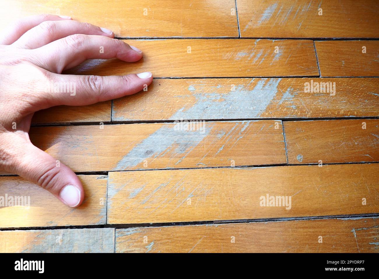 Old, scratched parquet flooring needs maintenance. the parquet is ...