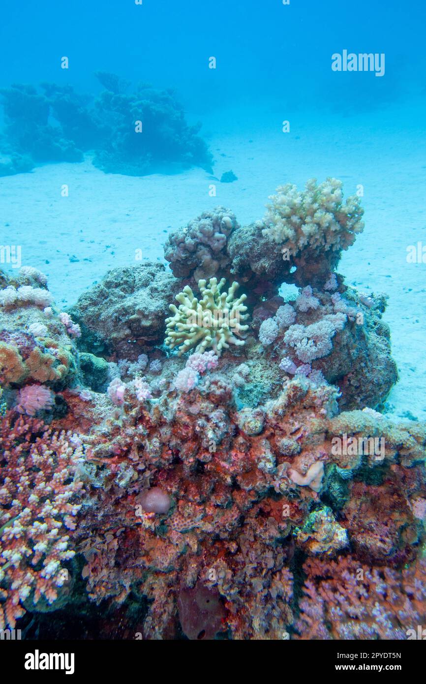 Hard environment hi-res stock photography and images - Alamy