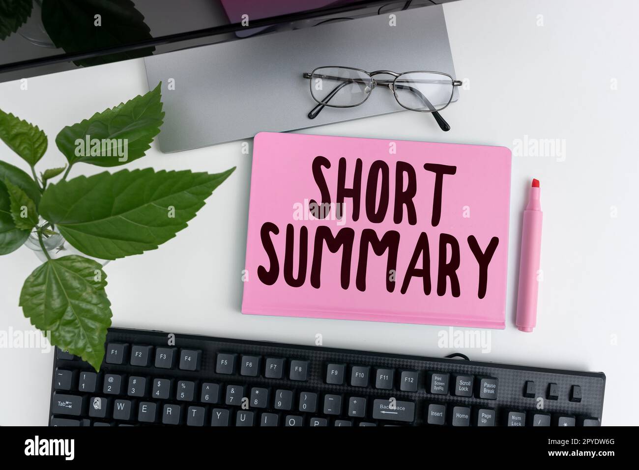 Text showing inspiration Short Summary. Business overview Brief statement of main points clear ...