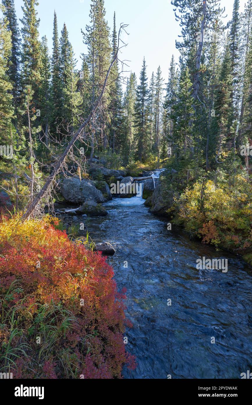 Yellowstone colors hi-res stock photography and images - Alamy