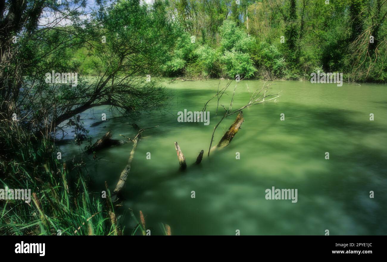The main river of Punta Alberete Stock Photo - Alamy