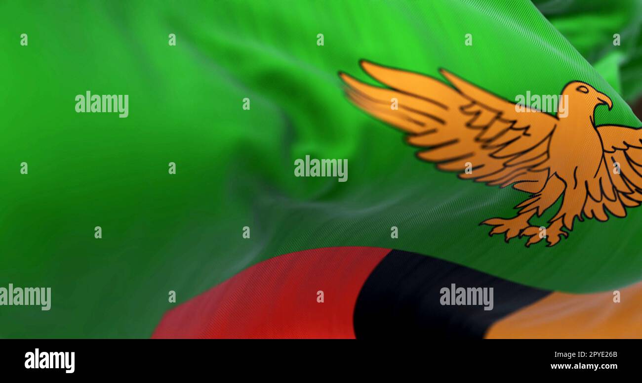 Zambia Flag Eagle