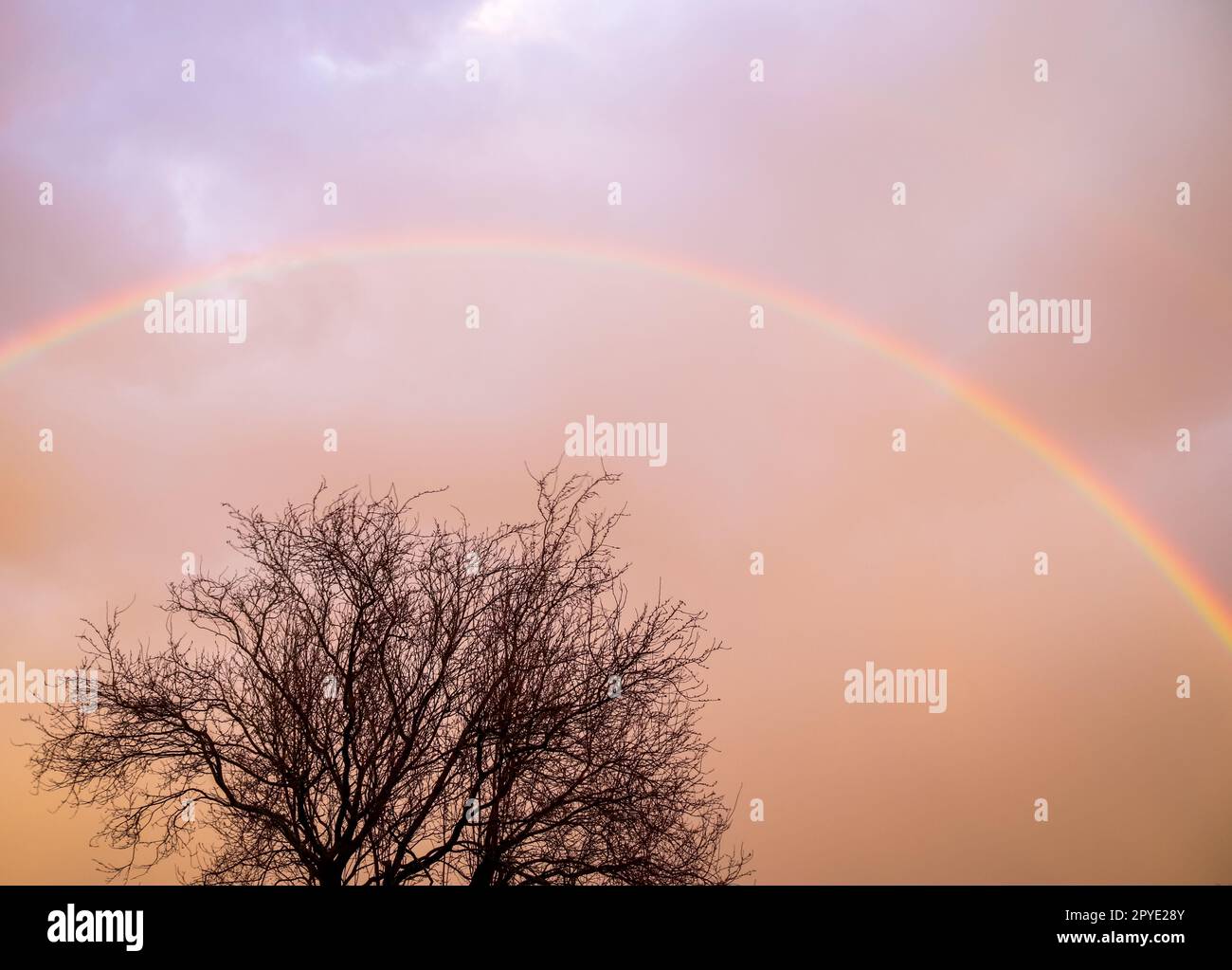 Rainbows colors hi-res stock photography and images - Alamy