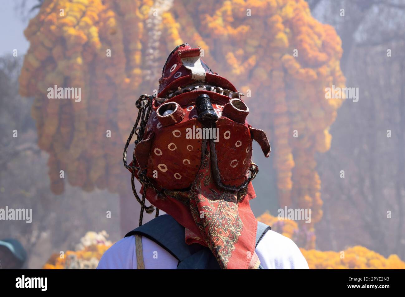 Tecuanes mask portrait. Inhabitants of the Nahua community of Acatlan ...