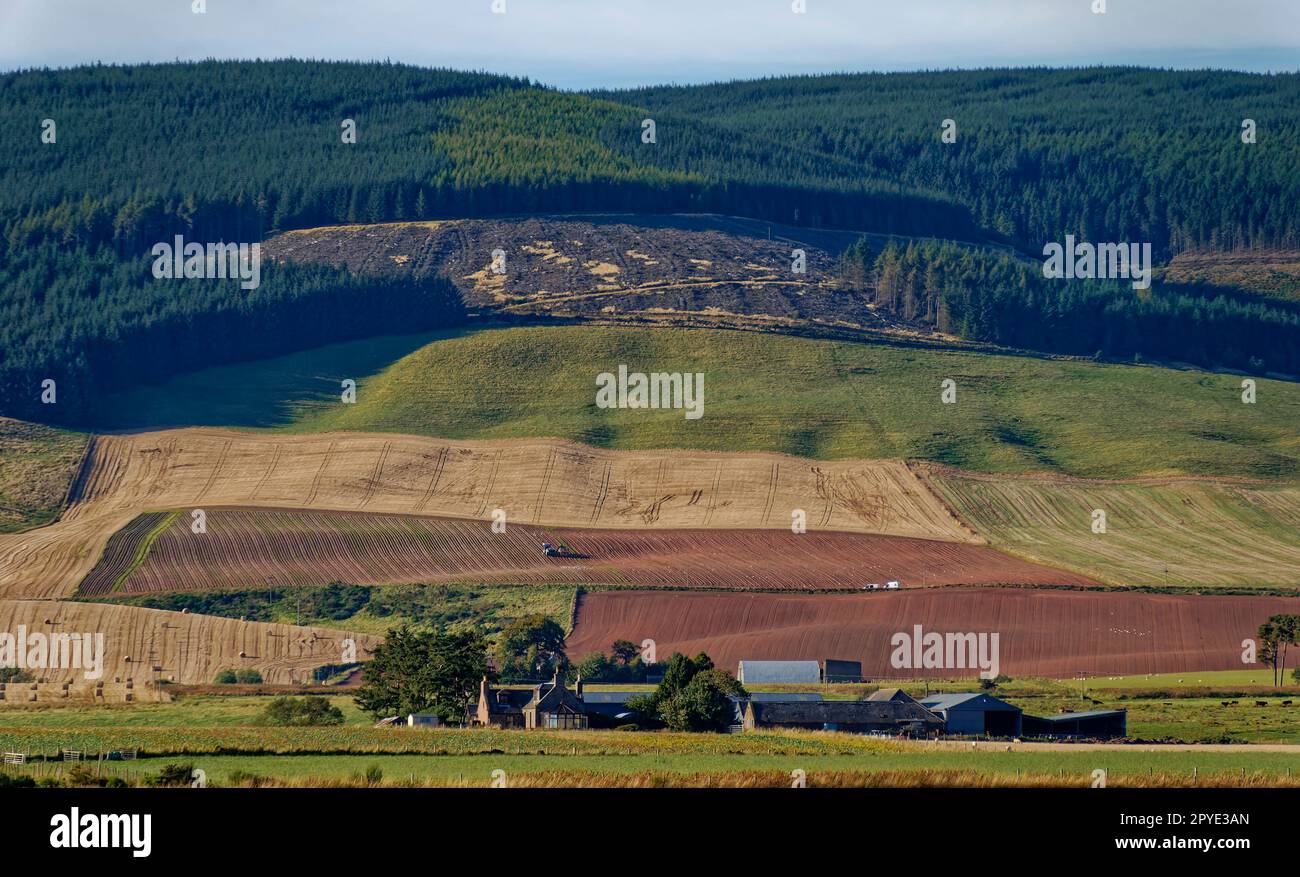 Hill Farming on the undulating topography behind the Beach at St Cyrus ...