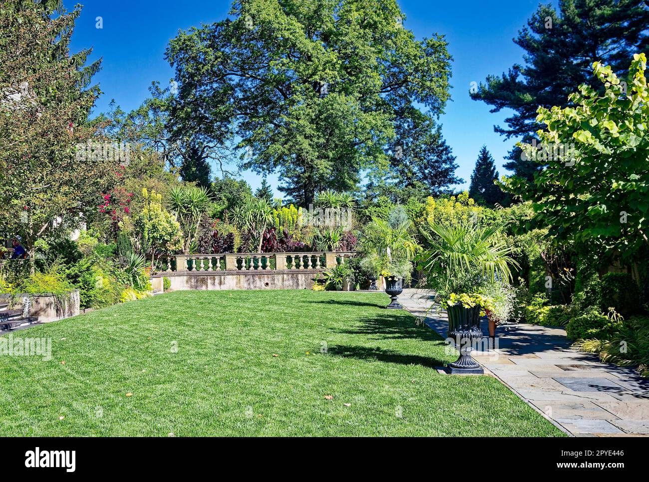 garden scene, green, grass, shrubs, trees, slate path, decorative ...