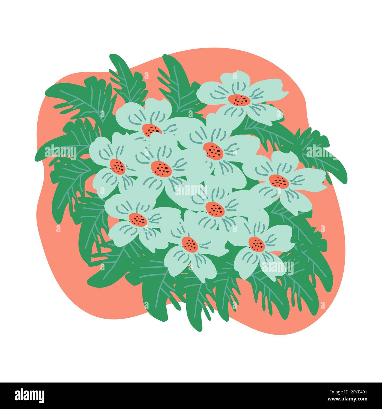 White daisy isolated Stock Vector Images - Alamy