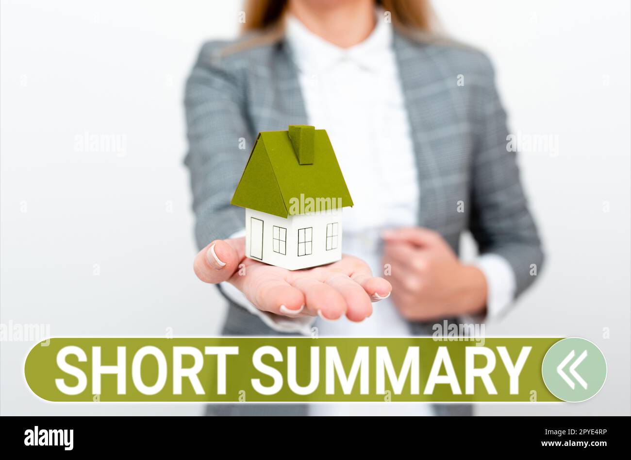 Conceptual display Short Summary. Business idea Brief statement of main ... Conceptual display Short Summary. Business idea Brief statement of main ...