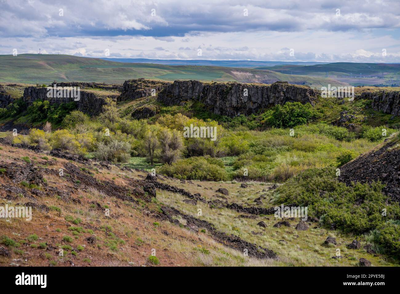View of lava bluffs and basalt formations (volcanic formations about 40 ...