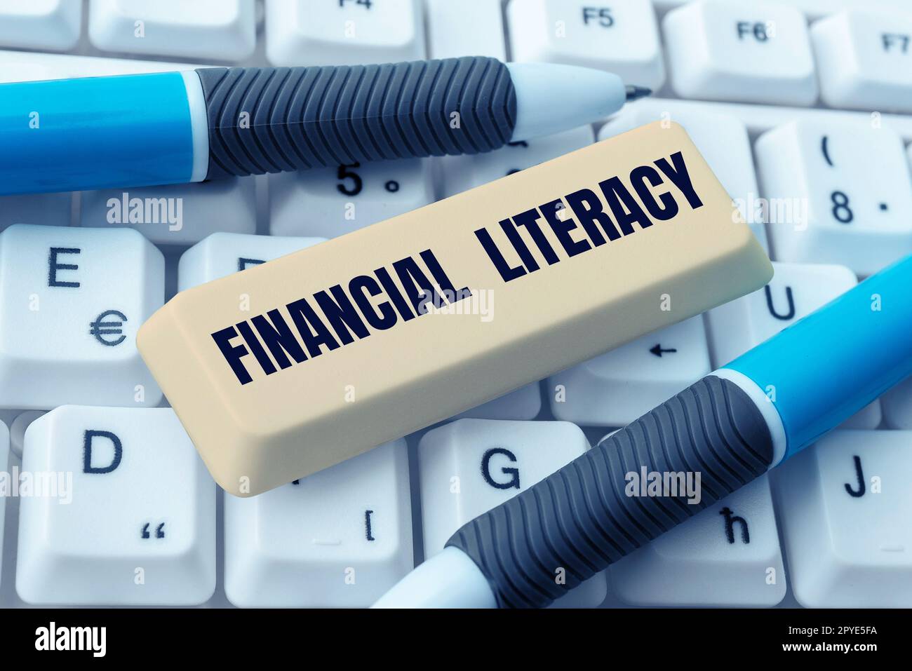 Conceptual display Financial Literacy. Word Written on Understand and ...