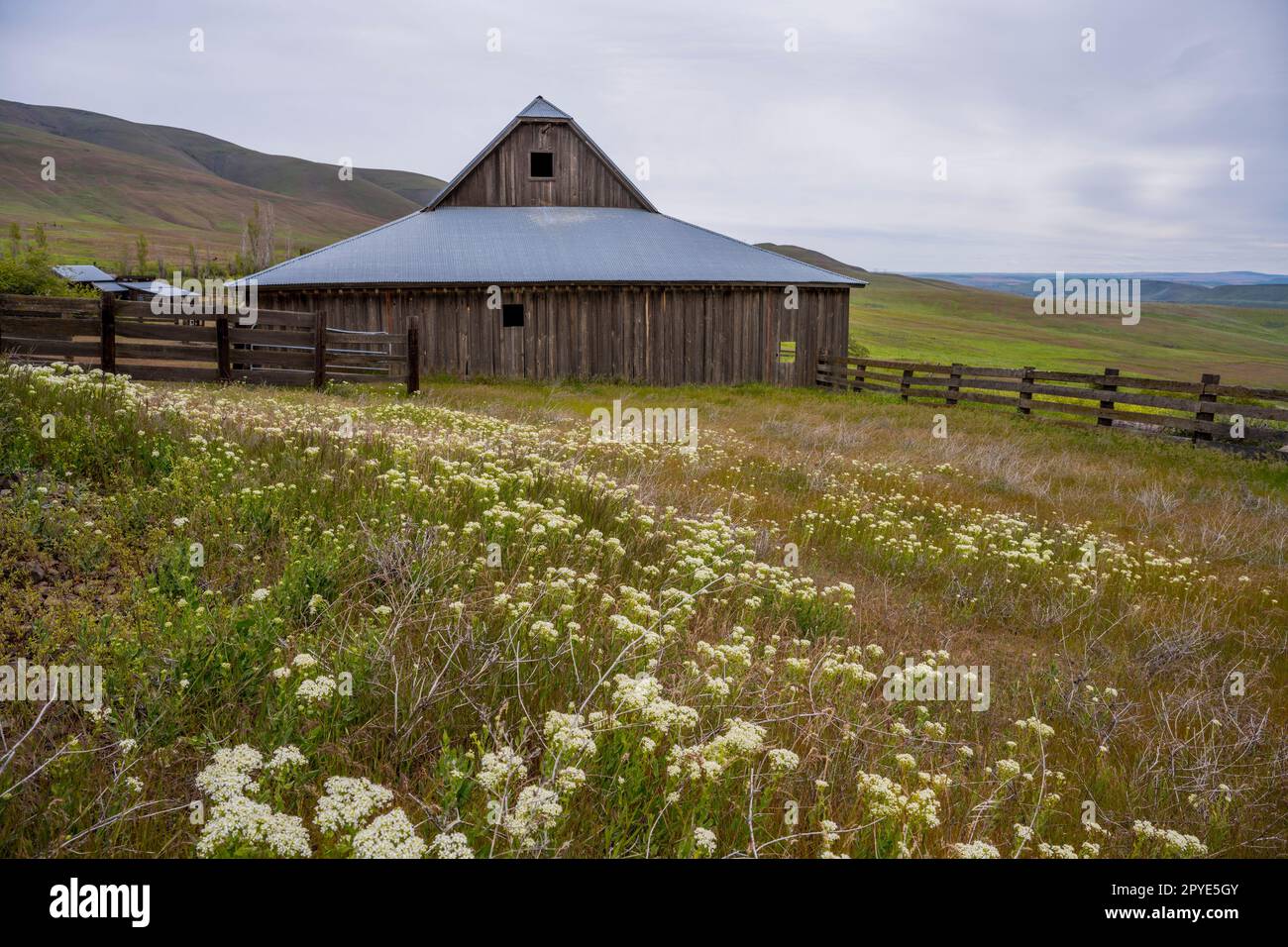 The old barn at the historic Dalles Mountain Ranch near Lyle, in ...