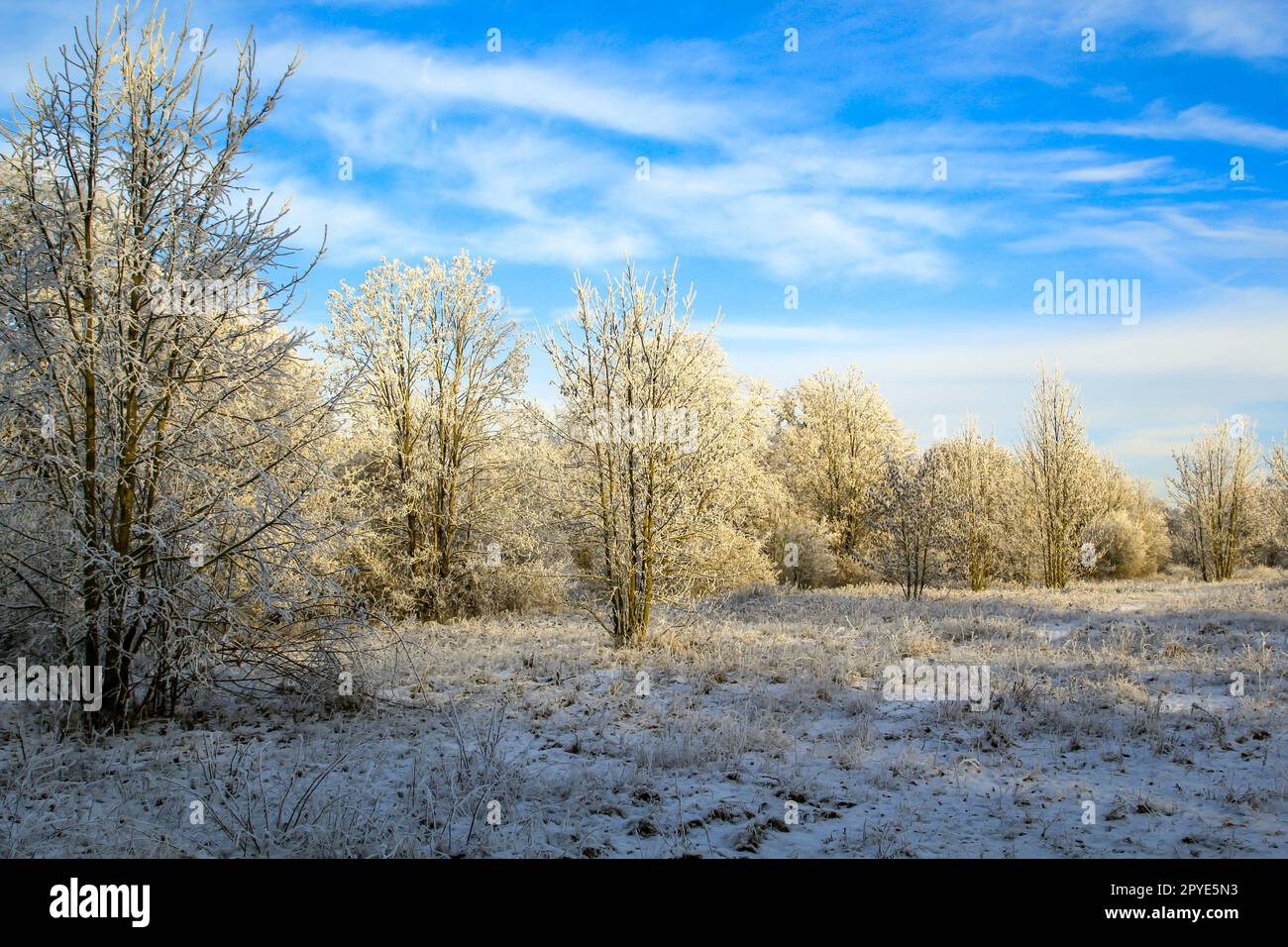 Frosty winter landscape hi-res stock photography and images - Alamy