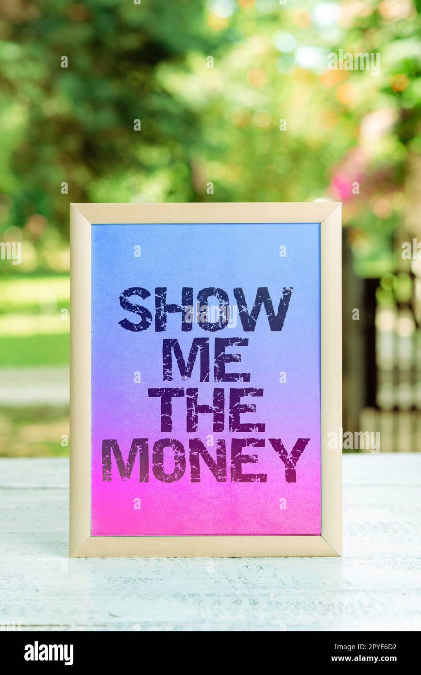 Conceptual display Show Me The Money. Business idea Showing the cash ...