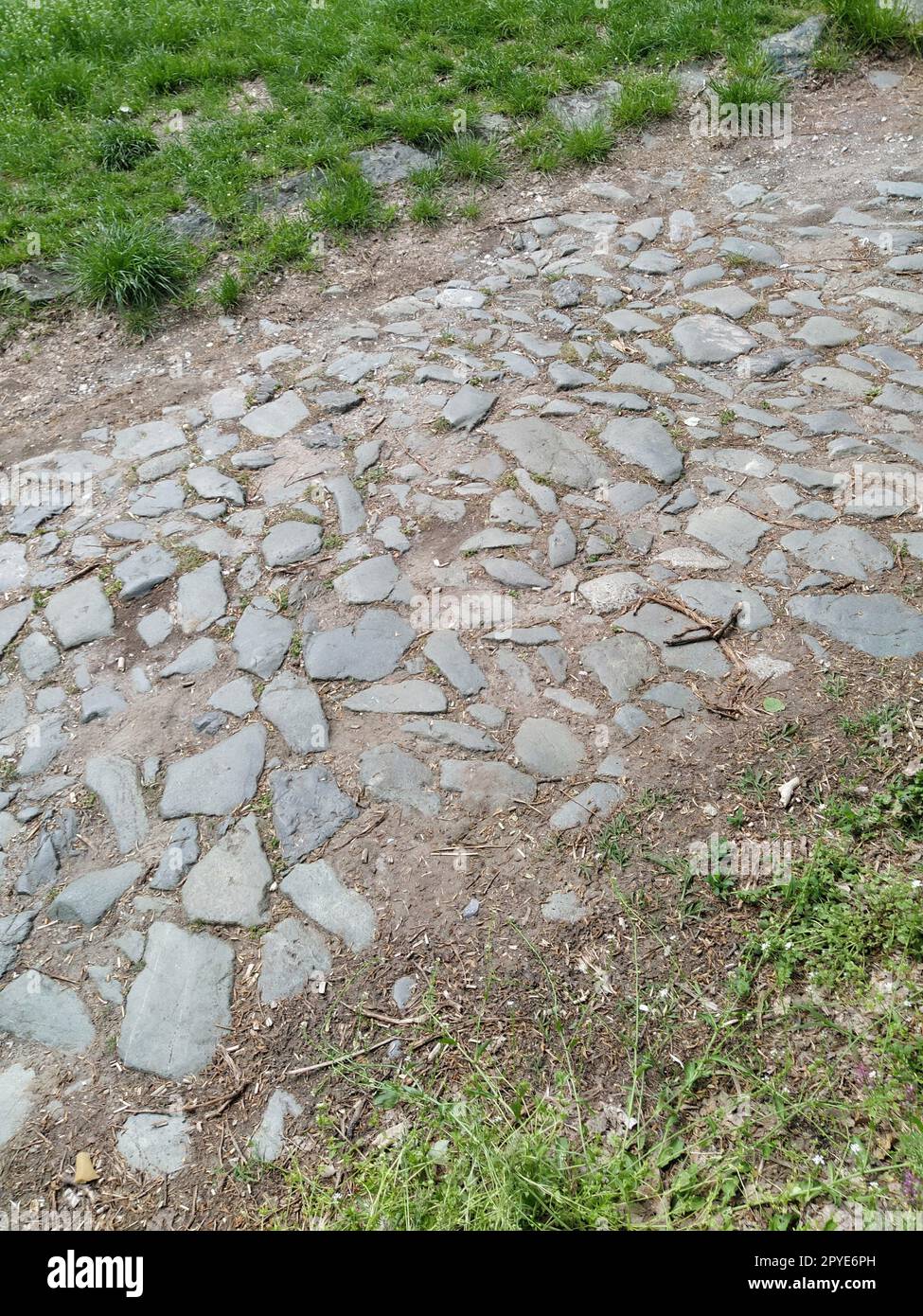 Paving stones - a hard road surface, a kind of pavement, lined with ...