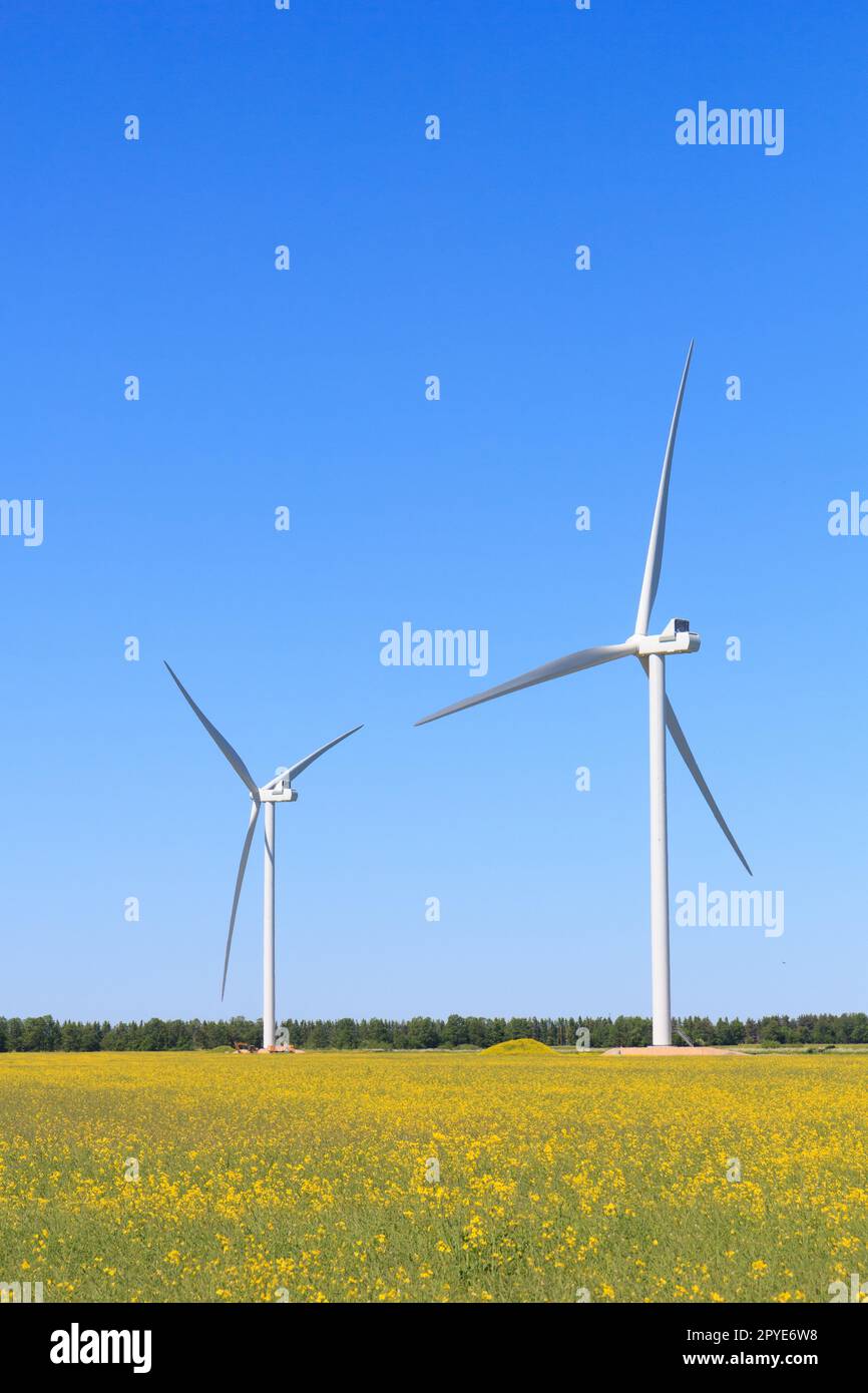 Flower electric field hi-res stock photography and images - Alamy