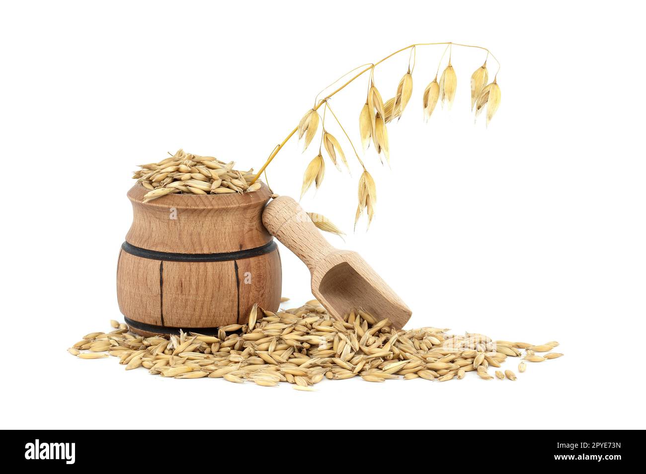Whole oats grains with husk in wooden barrel over white Stock Photo - Alamy