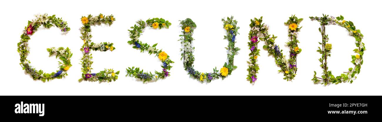 Blooming Flower Letters Building German Word Gesund Means Healthy Stock ...