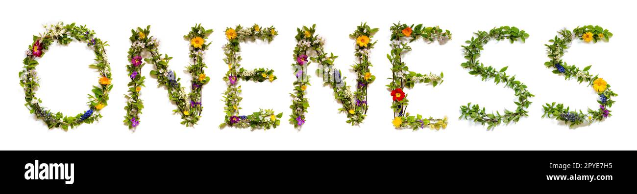 Colorful Blooming Flower Letters Building Word Oneness Stock Photo - Alamy