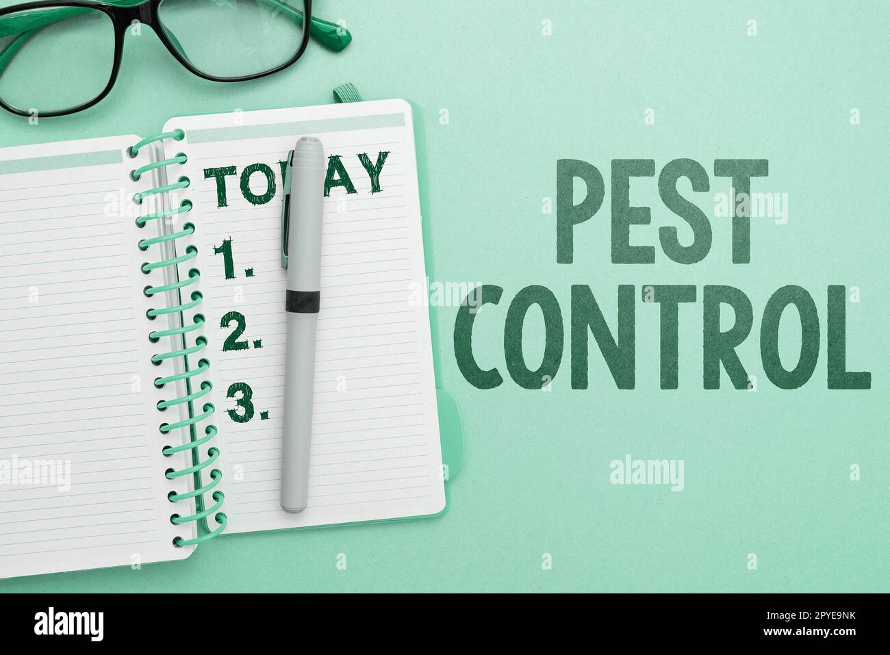 Text sign showing Pest Control. Business overview Killing destructive ...