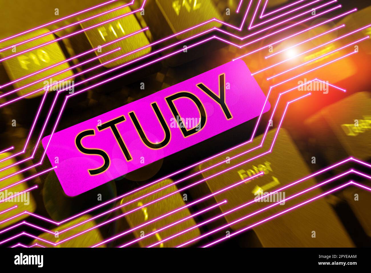 Text caption presenting Study. Business approach devotion of time and ...