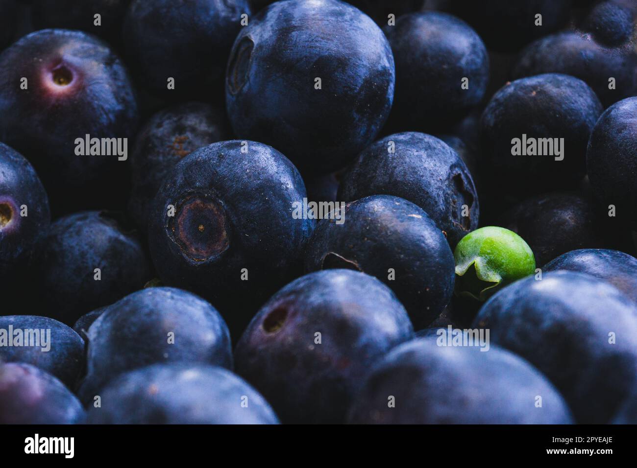 Green unripe blueberries close hi-res stock photography and images - Alamy