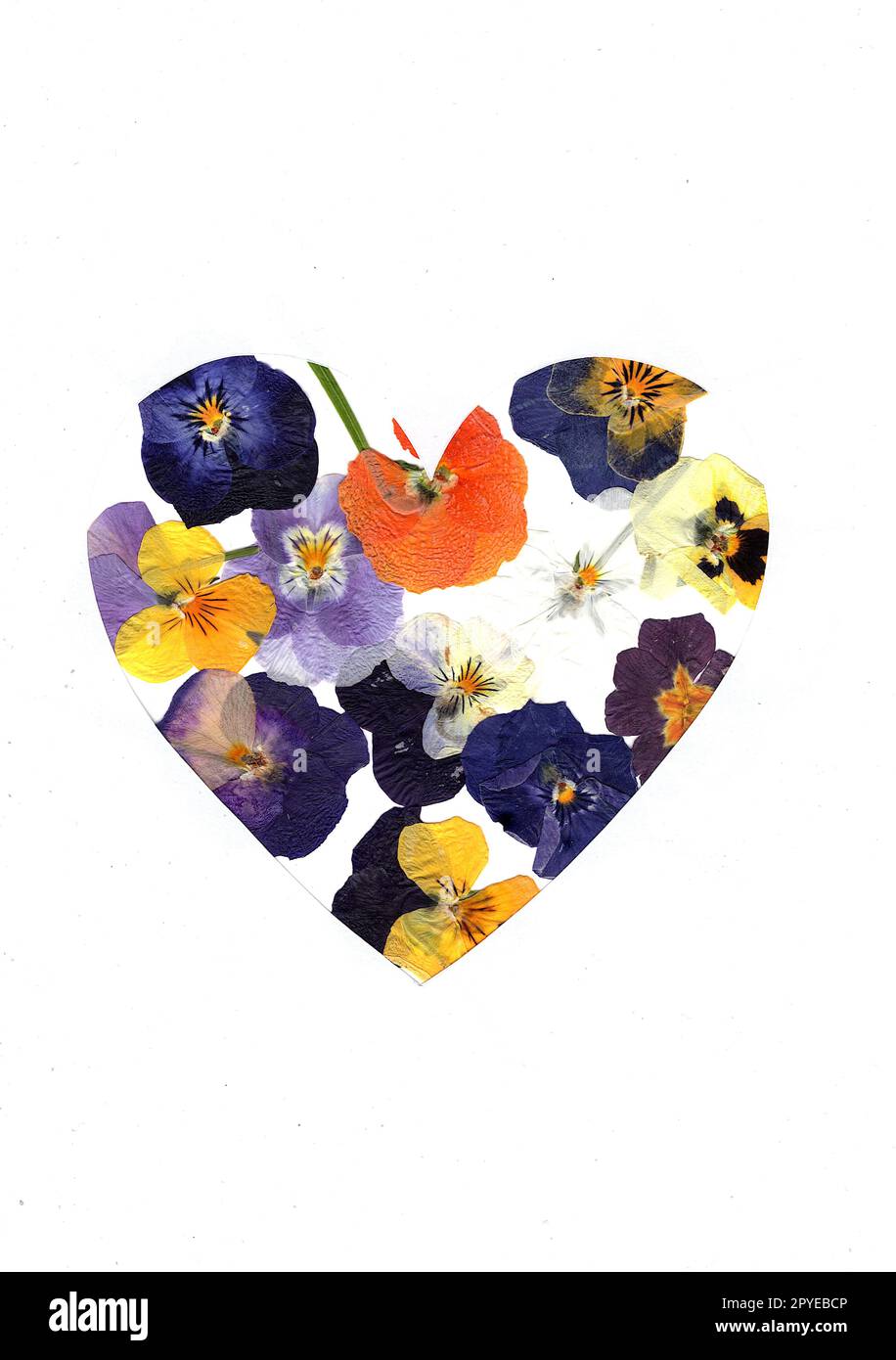 Flowers birds in spring Cut Out Stock Images & Pictures - Alamy