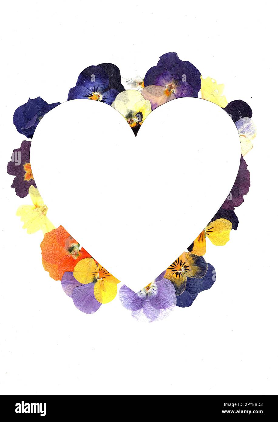 Pressed spring flowers forming the shape of a heart Stock Photo - Alamy