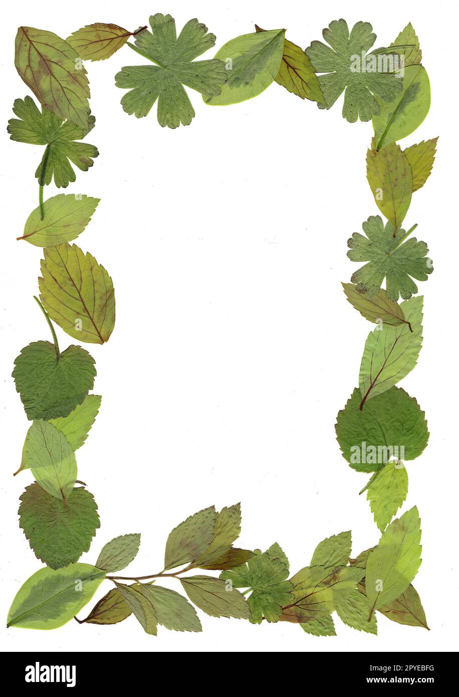 Pressed shape hi-res stock photography and images - Alamy