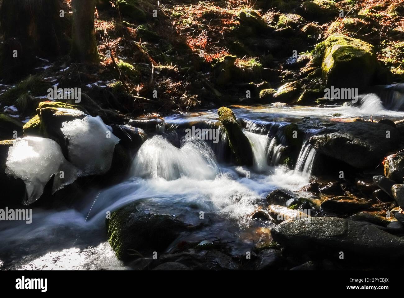 Brook little hi-res stock photography and images - Alamy