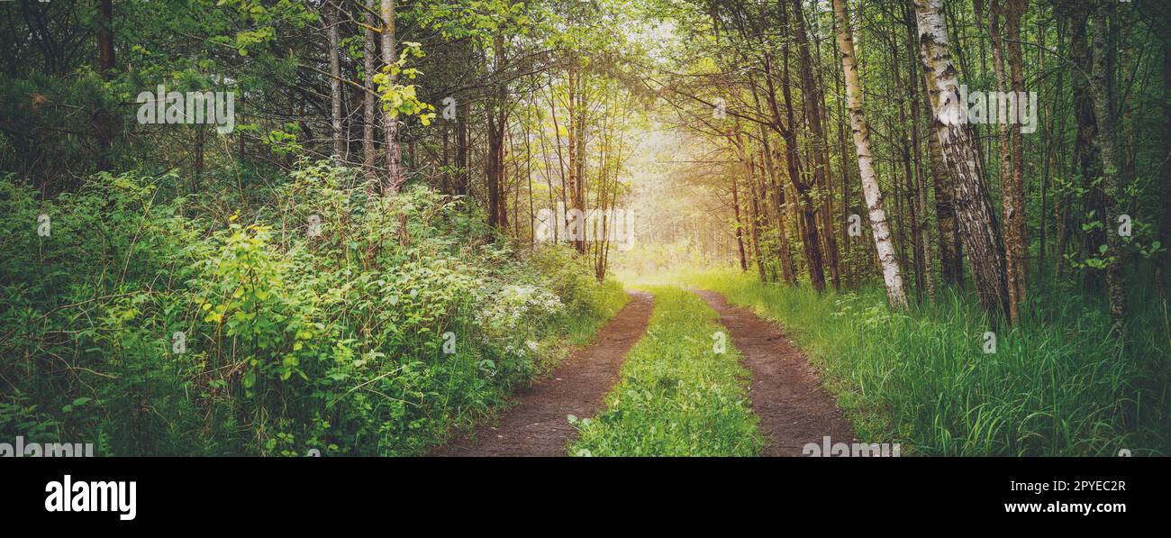 Beautiful road country road hi-res stock photography and images - Alamy