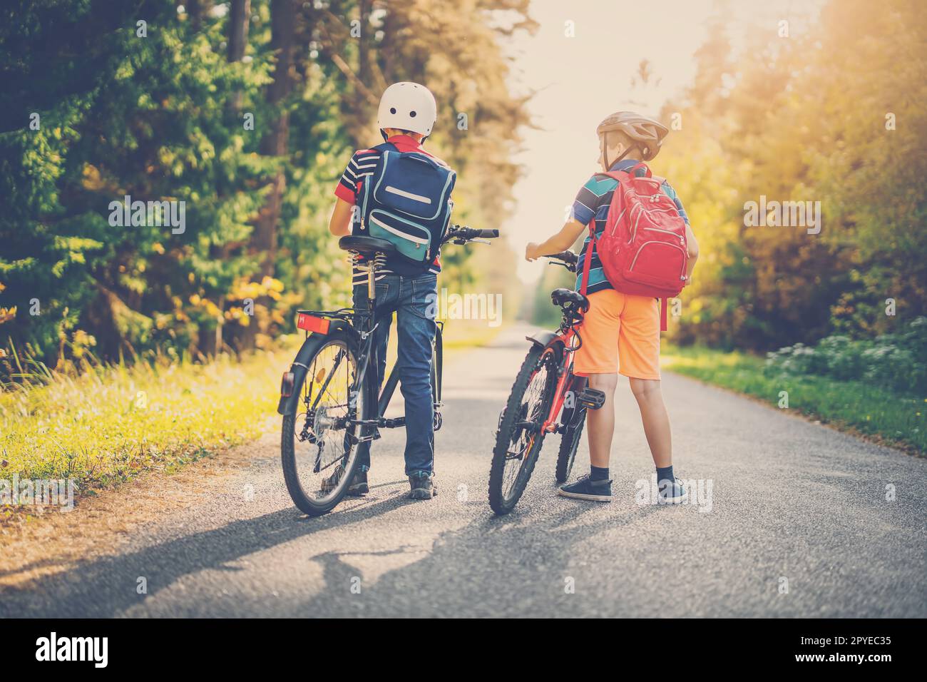 Cute children riding on bicycles on asphalt road in summer Stock Photo ...