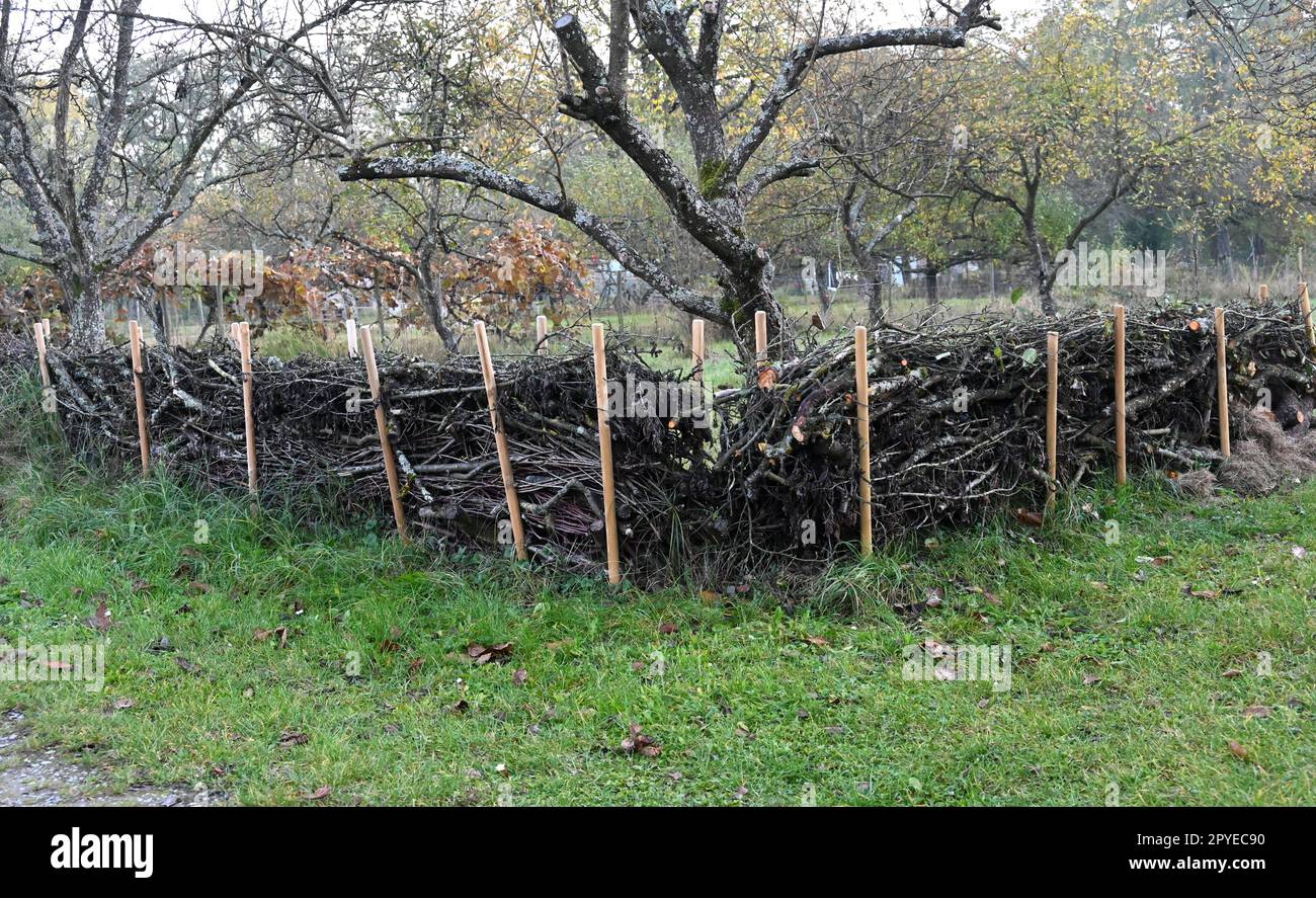 Deadwood hedge hi-res stock photography and images - Alamy